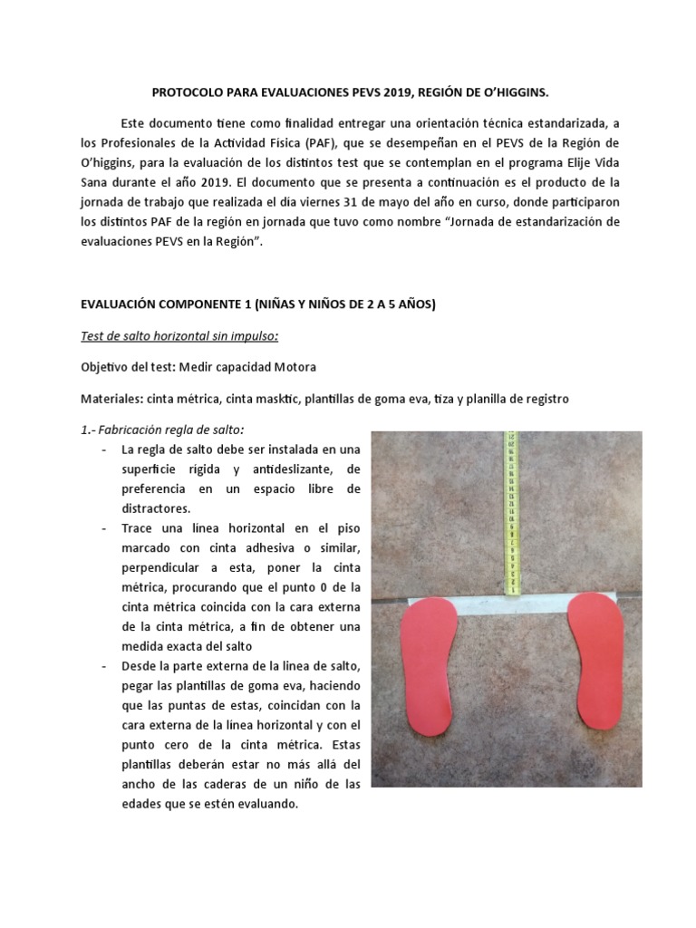 Protocolo para Evaluaciones Pevs 2019 | PDF
