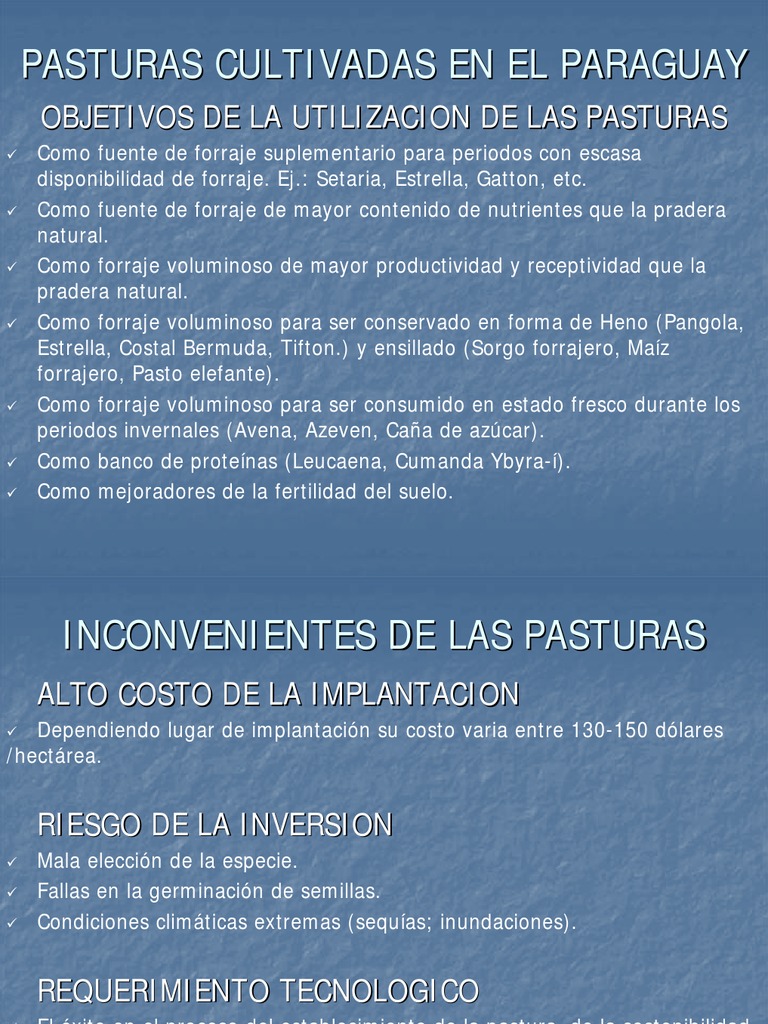 Tipos de Pasturas en Paraguay | PDF | Forraje | Plantas Domesticadas