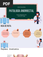 Anatomía de la Cápsula de Glisson | PDF | Tejido adiposo | Riñón