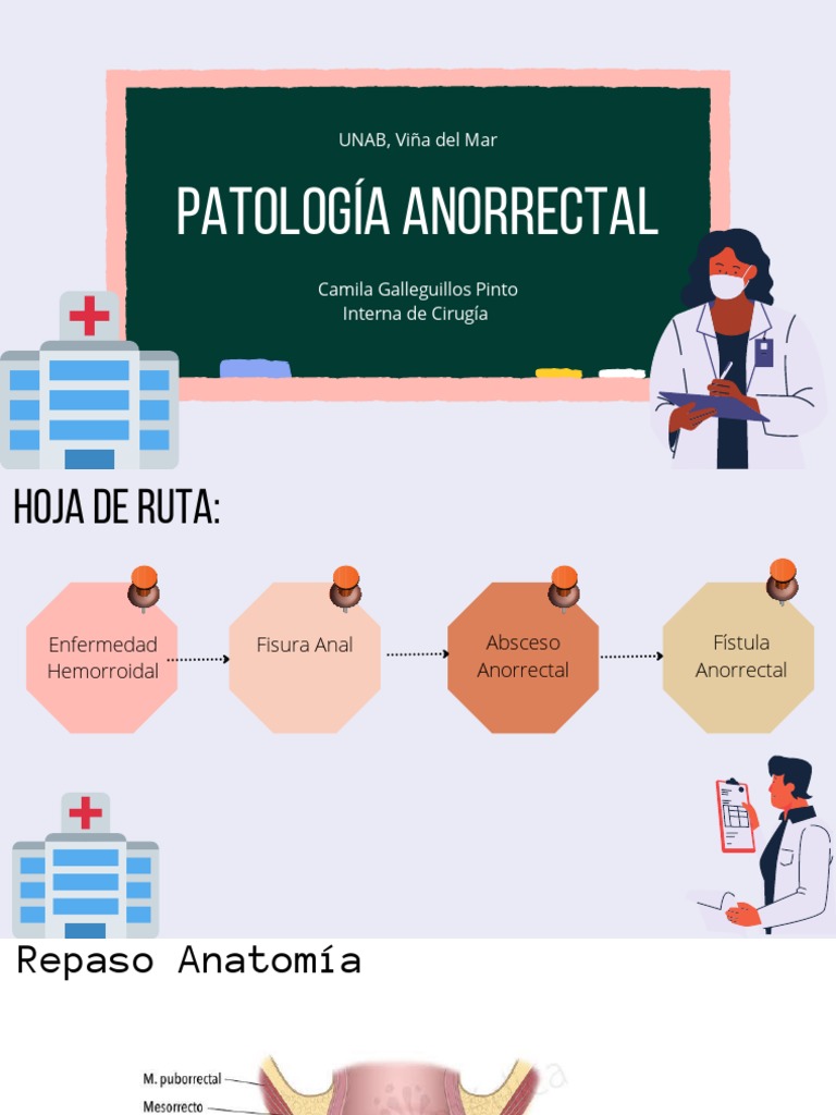 Guía Completa sobre Patología Anorrectal | PDF | Hemorroides ...