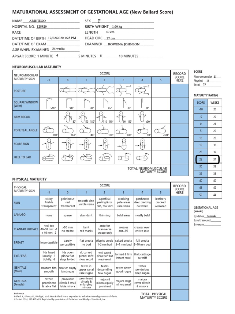 Maturational Assessment of Gestational Age (New Ballard Score) | PDF ...
