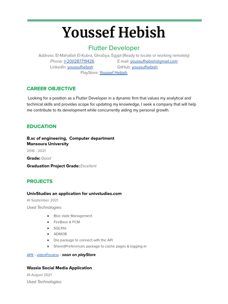 Youssef Hebish Flutter Developer | PDF | Computing | Software Development