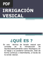 CISTOCLISIS | PDF | Vejiga urinaria | Orina