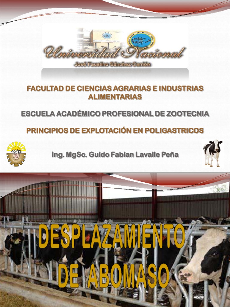 Desplazamiento de Abomaso | Vacas | Medicina CLINICA