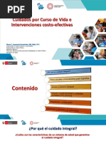 Tema 5 Implementación de La RIS Etapas y Fases | PDF