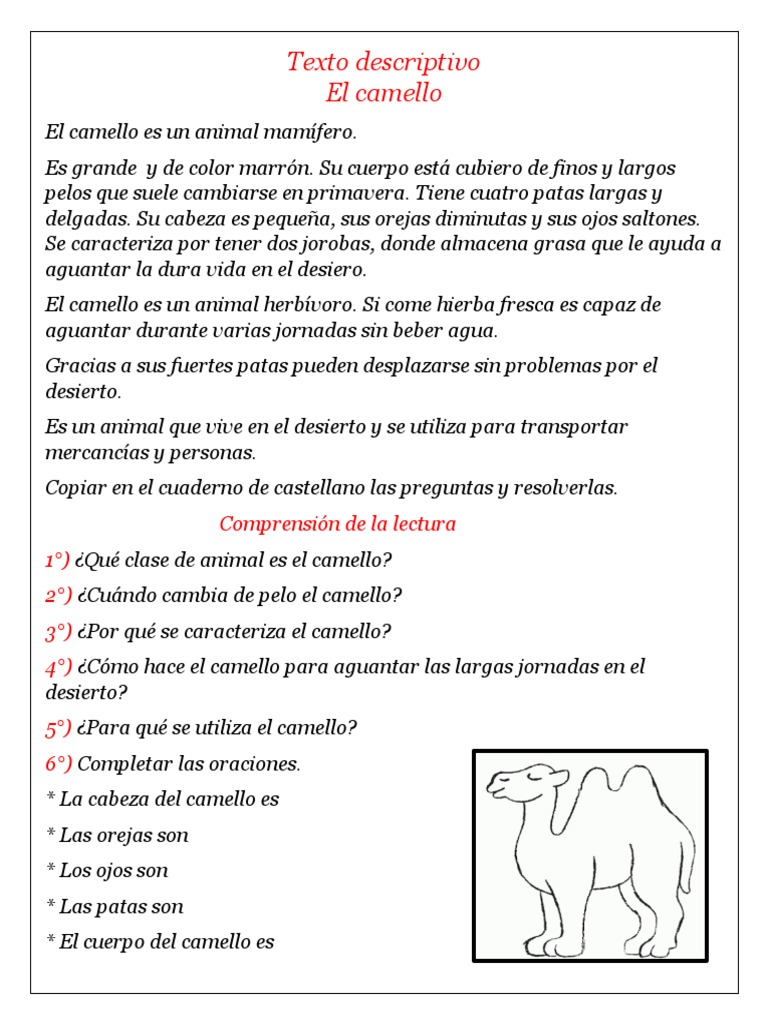 Oraciones y descripción del camello | PDF