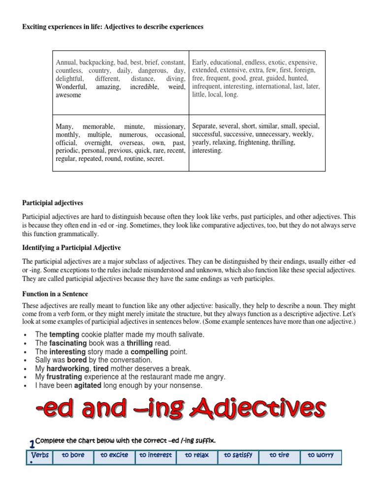 Clase 2 Semana 4 | PDF | Adjective | Syntax