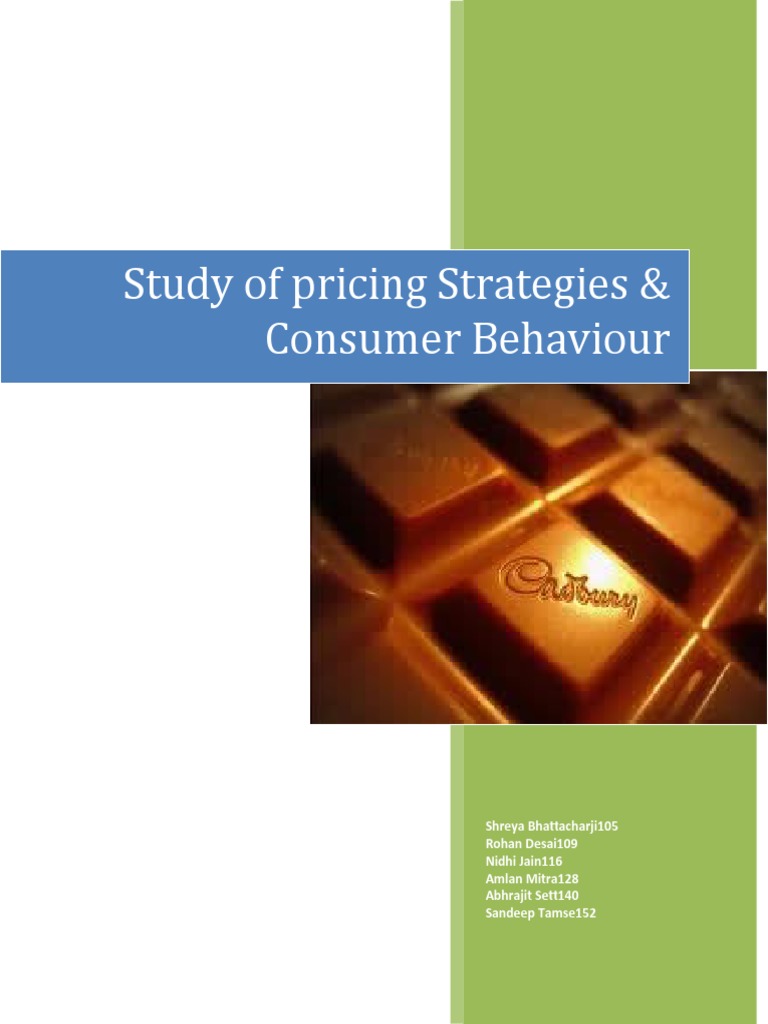 Study of Pricing Strategies & Consumer Behaviour | PDF | Marketing ...