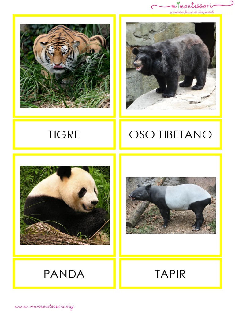 Tarjetas de Animales Montessori PDF | PDF