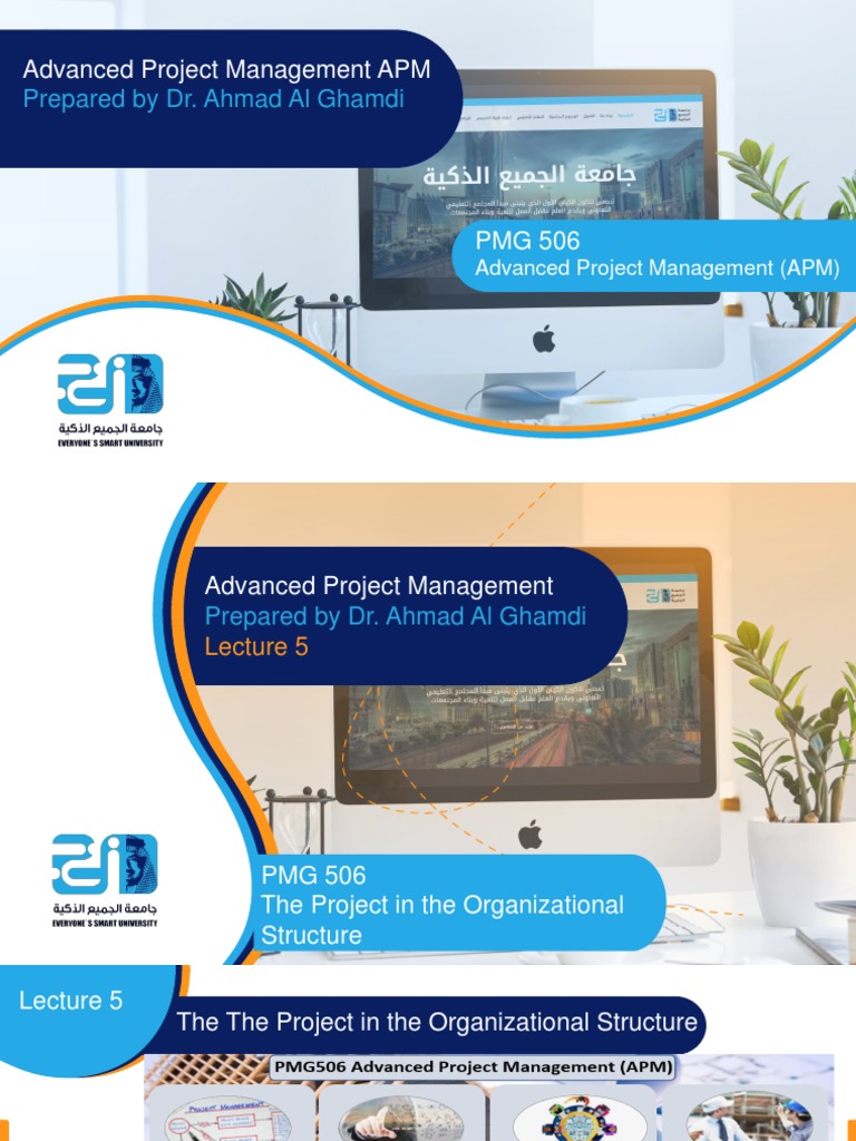 APM Organizational Structure Project Management | PDF | Risk | Risk ...