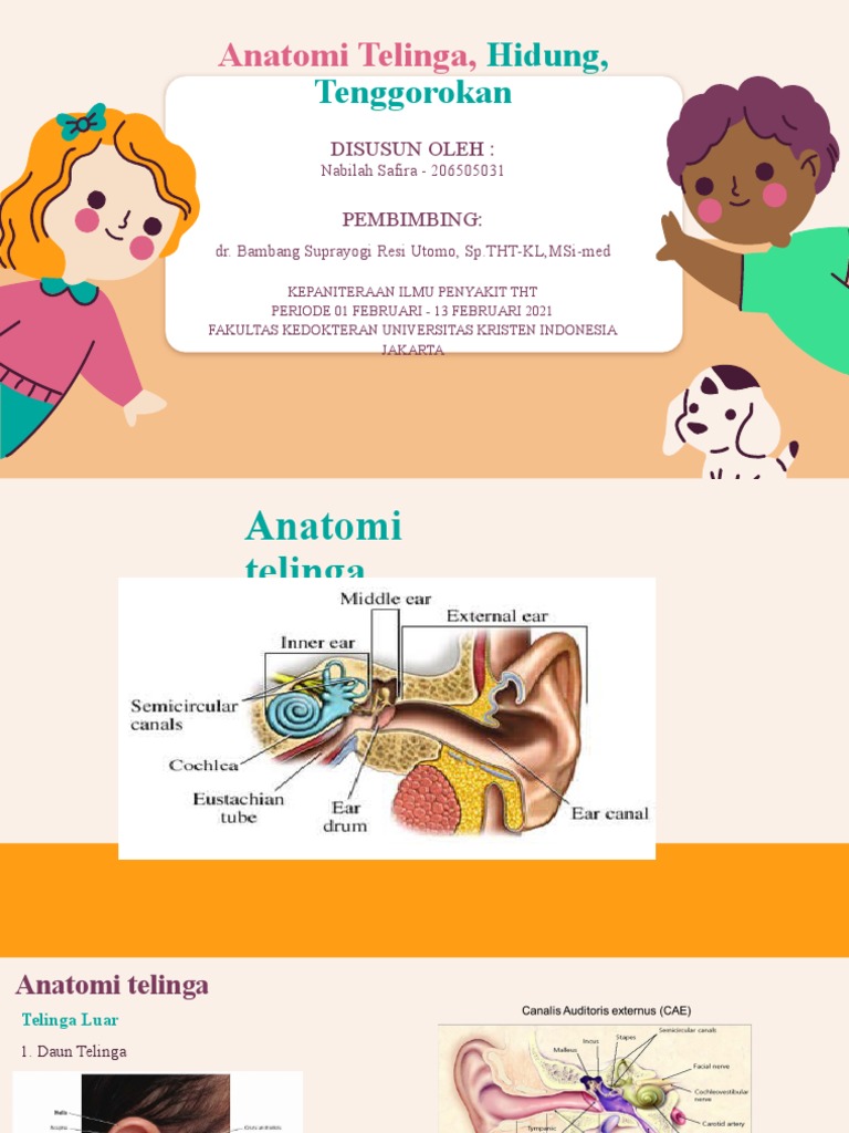 Anatomi Telinga, Hidung, dan Tenggorokan | PDF | Sains & Matematika