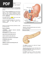 Pancreas and Spleen Anatomy Guide | PDF | Pancreas | Spleen