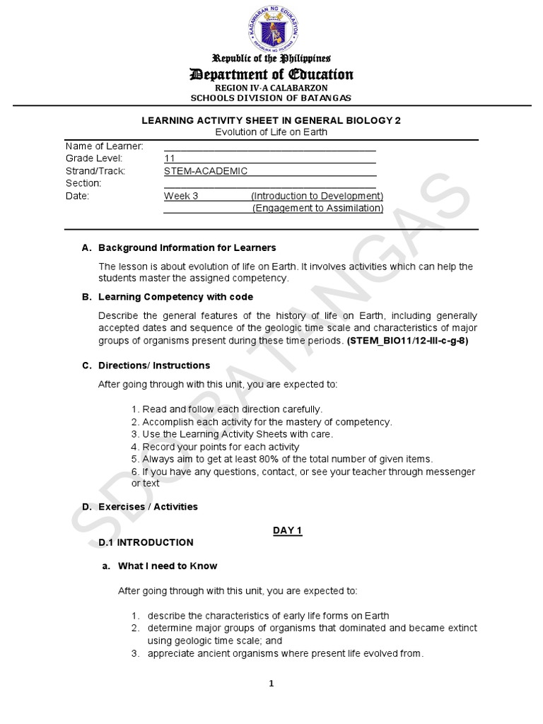 Evolution of Life: Biology Activity Sheet | PDF | Cell (Biology) | Nature