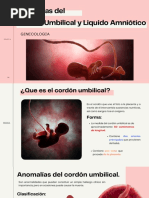 Tipos de Incisiones en Cesárea | PDF | Parto | El embarazo
