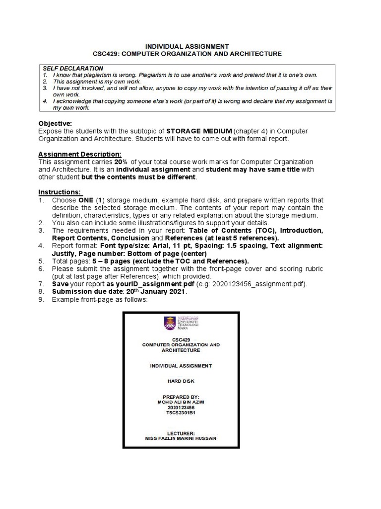 CSC429 - Individual Assignment | PDF