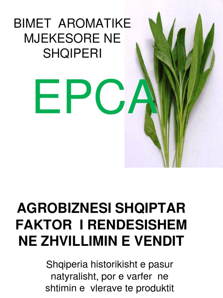 Bimet Aromatike Ne Shqiperi | PDF