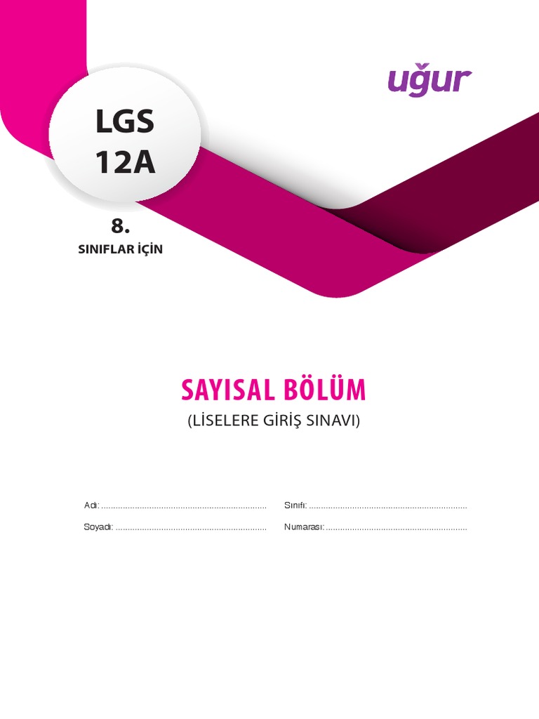8.Snf Sayisal LGS-12A | PDF