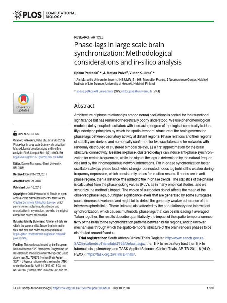 Phase-Lags in Large Scale Brain Synchronization: Methodological Considerations and In-Silico ...