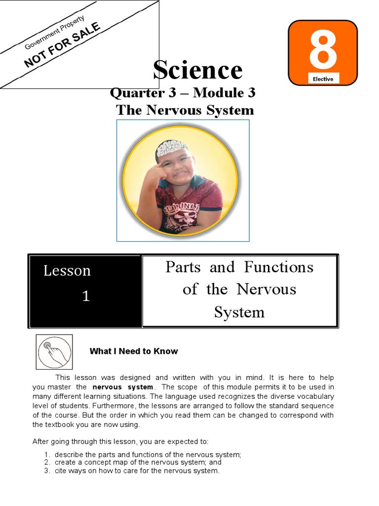 Science: Quarter 3 - Module 3 The Nervous System | PDF | Central Nervous System | Nervous System