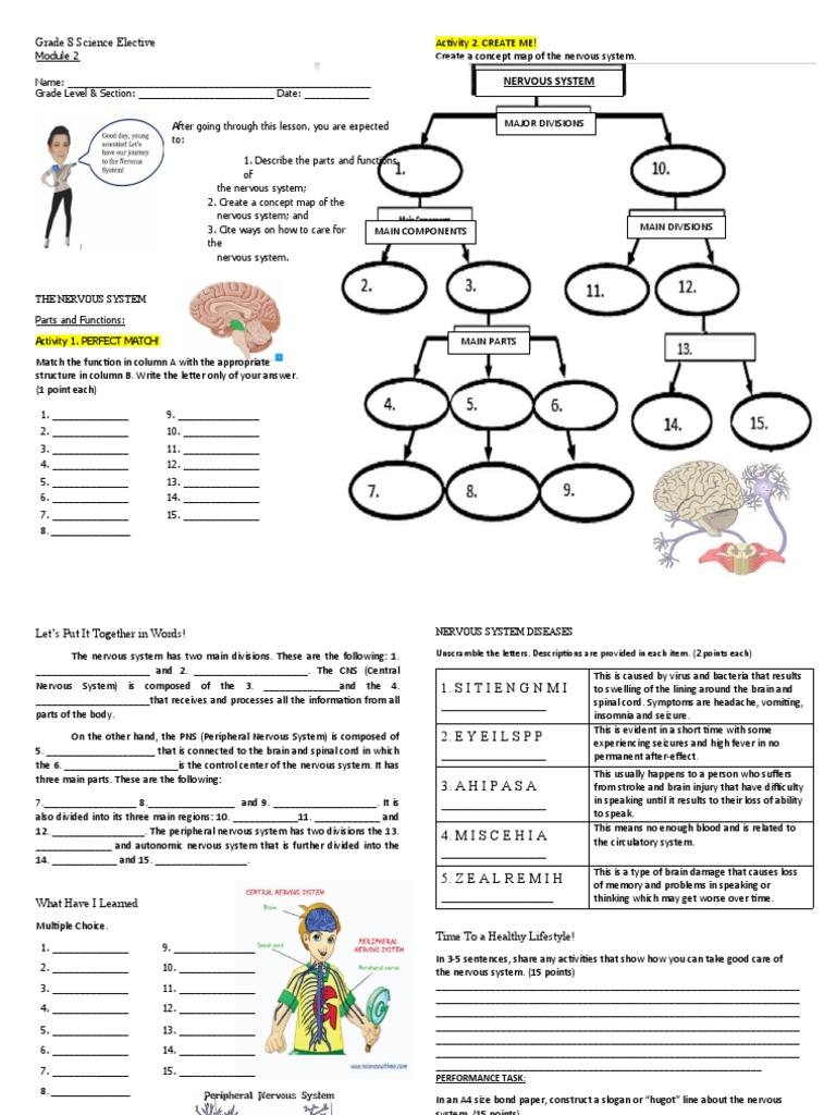 G8 Sci Elec Mod2 Ans SHT | PDF | Nervous System | Central Nervous System