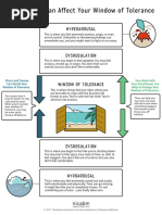 NICABM InfoG Window of Tolerance Revised | PDF