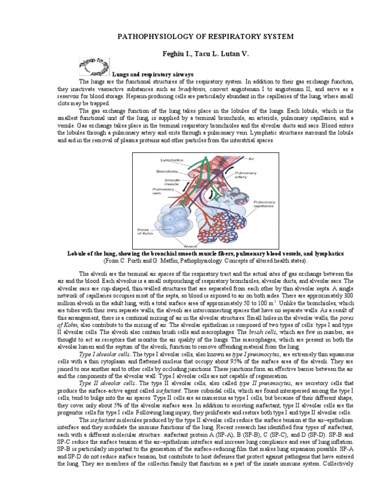 Pathophysiology of Respiratory System Feghiu I., Tacu L. Lutan V | PDF ...