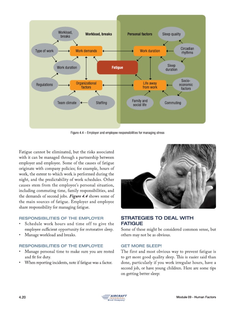Fatigue | PDF