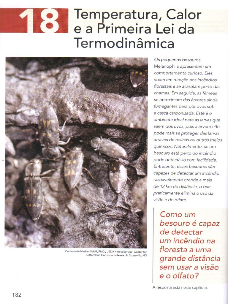 Fundamentos de Física Vol.2 - Halliday & Resnick - 8 Ed-188-220 | PDF