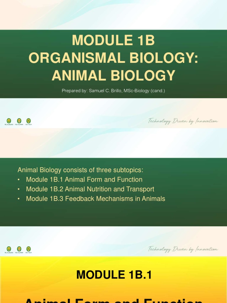 Overview of Organismal Biology | PDF | Skeleton | Adaptive Immune System