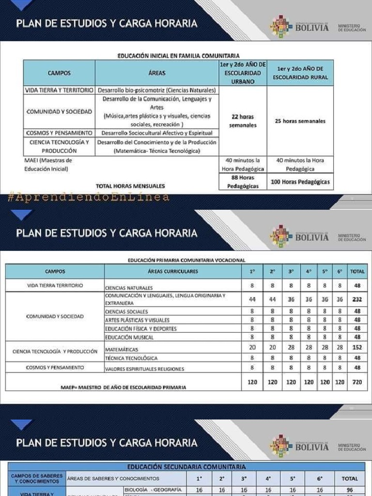 Carga Horaria Nivel Inicial Primaria Y Secundaria Pdf