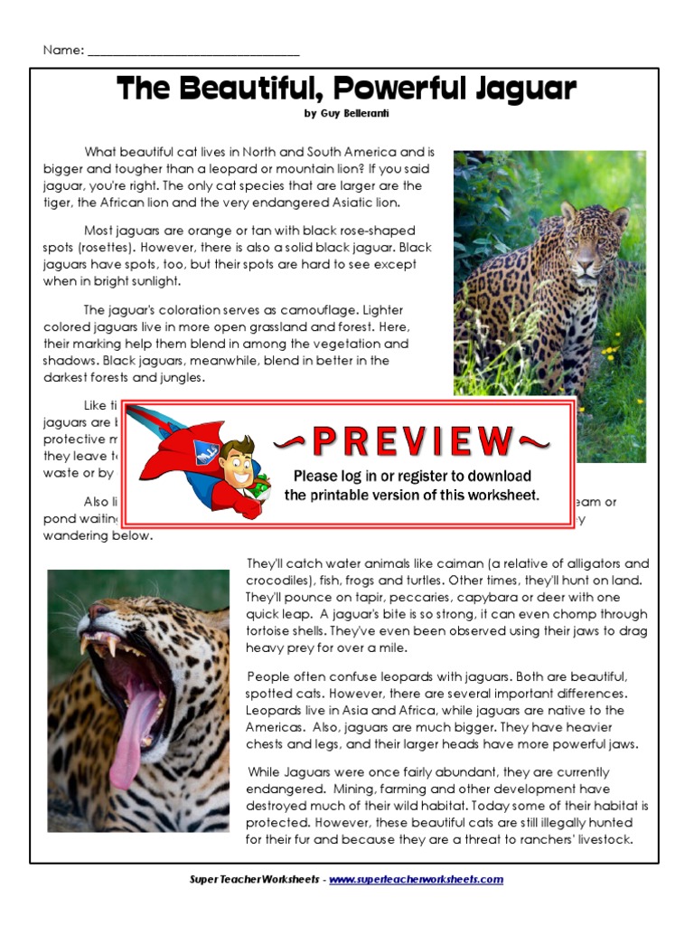 The Beautiful, Powerful Jaguar: Nature's Strongest Big Cat | PDF ...