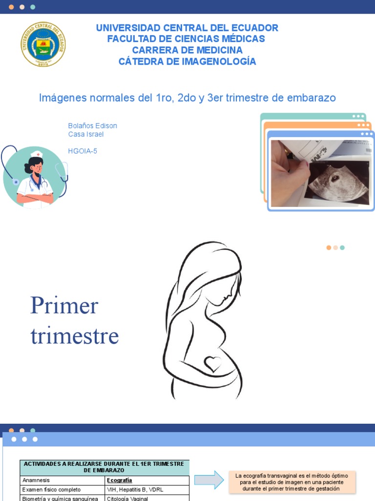 Imagenología Normal 1ro, 2do, 3er Trimestres Autoguardado | PDF | El embarazo | Placenta