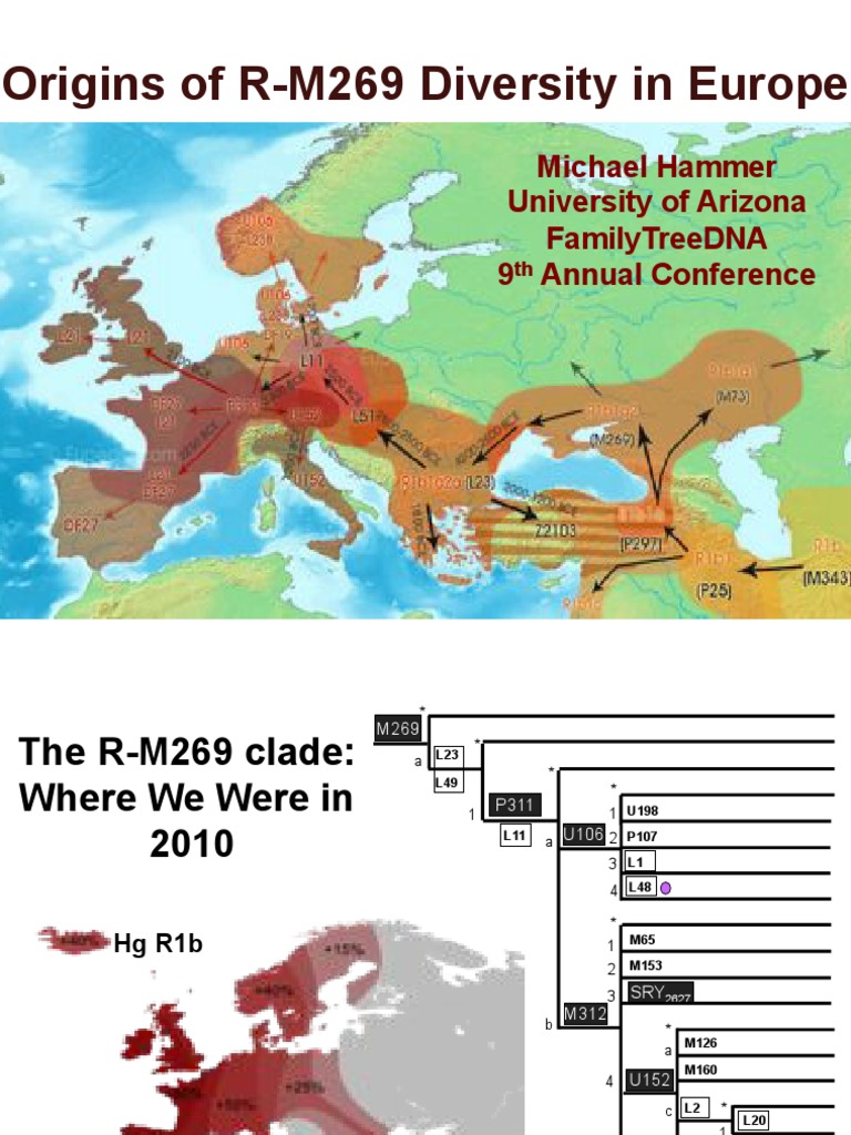 R-M269 Haplogroup Origins in Europe | PDF | Population Genetics ...