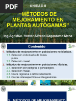 Endogamia y Heterosis | PDF | Endogamia | Siembra