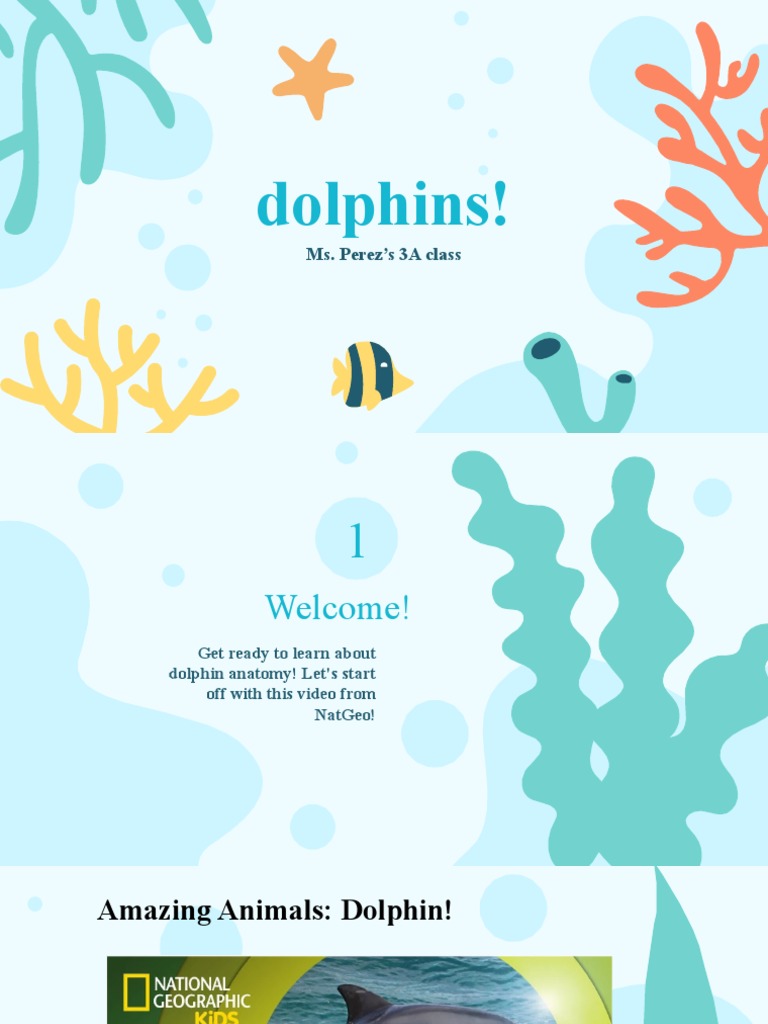 Dolphin 5e | Download Free PDF | Dolphin | Fin