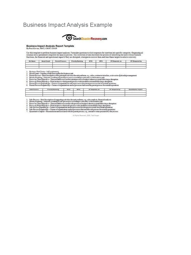 Business Impact Analysis Example | PDF