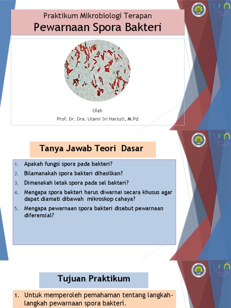 Praktikum Pewarnaan Spora Bakteri | PDF | Kesehatan Holistik