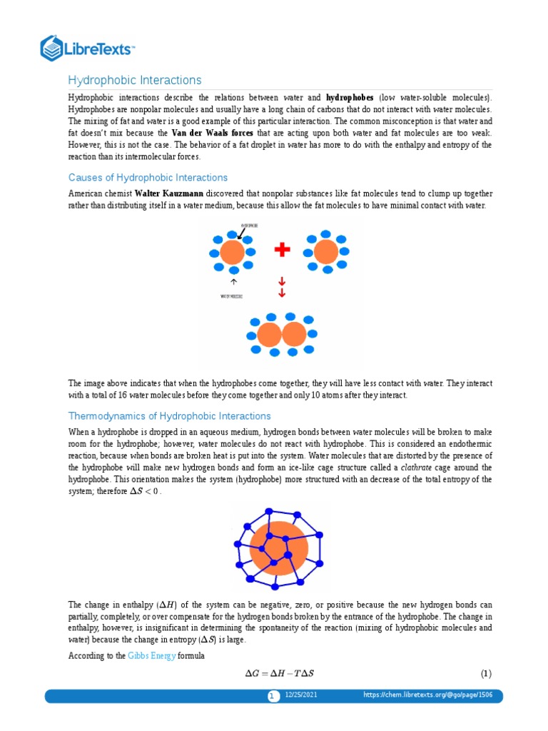 Causes of Hydrophobic Interactions | PDF | Properties Of Water | Chemistry