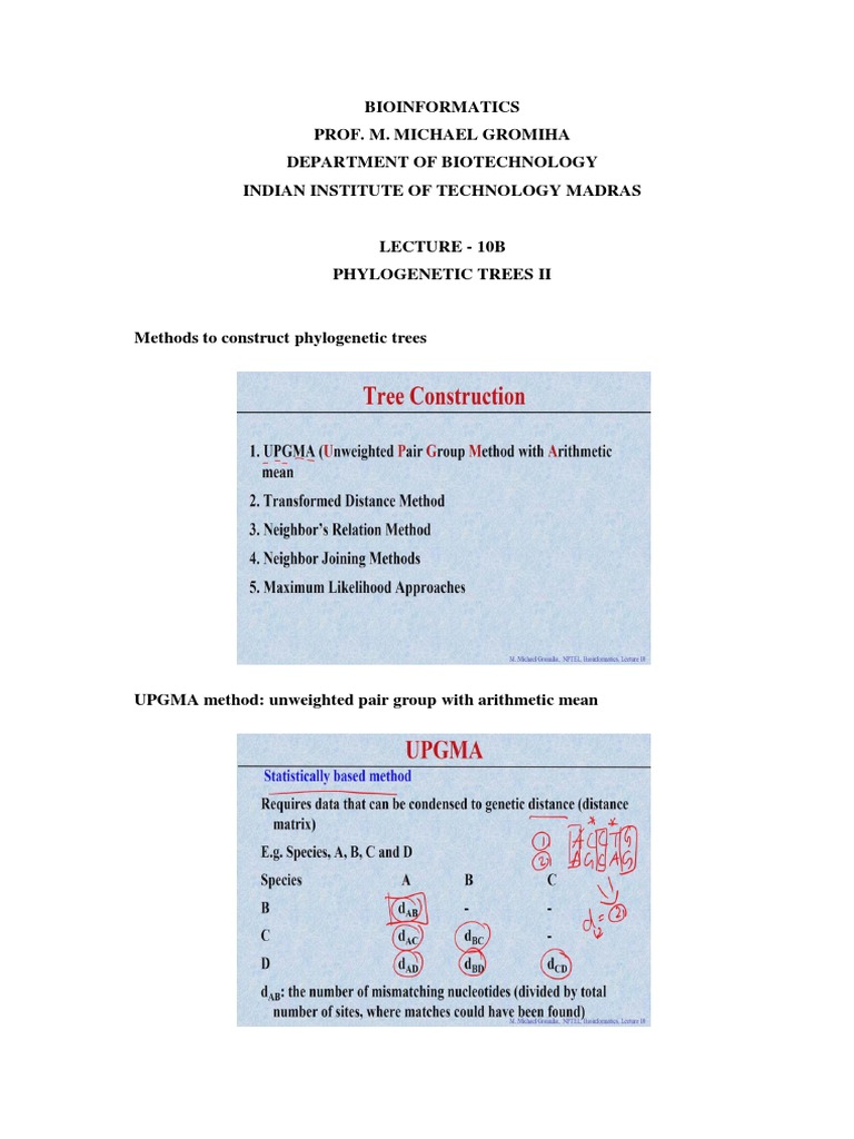 Phylogenetic Tree Construction Methods | PDF | Teaching Methods ...