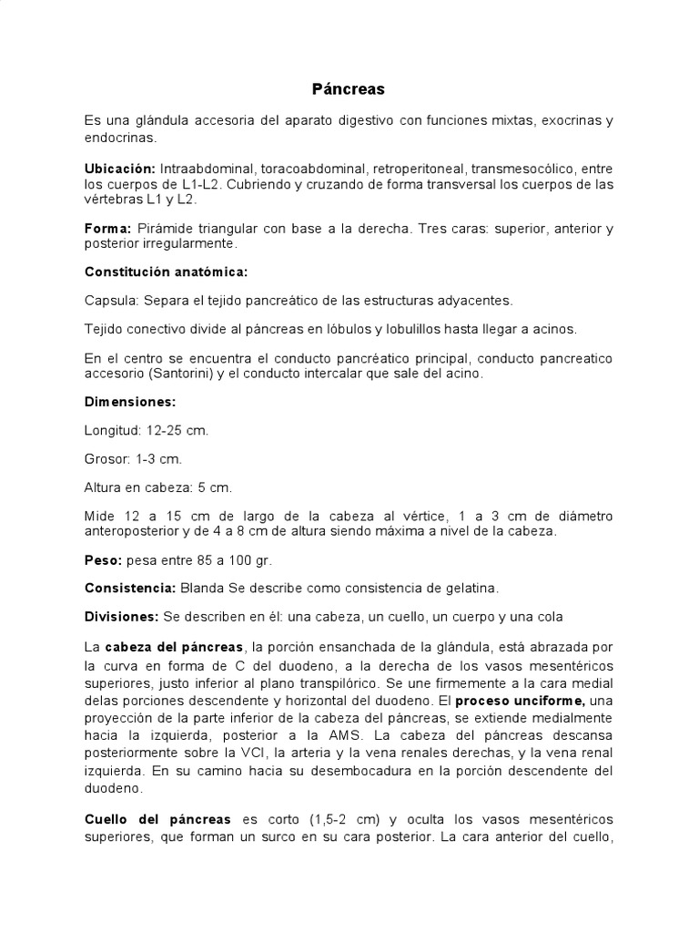 Anatomía y Funciones del Páncreas | PDF | Páncreas | Abdomen