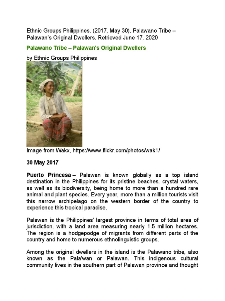 Ethnic Groups Philippines Palawano | PDF | Ethnicity | Ethnic Groups