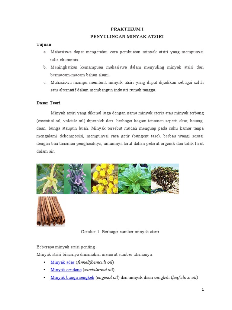 Praktikum Ikk-2021 | PDF