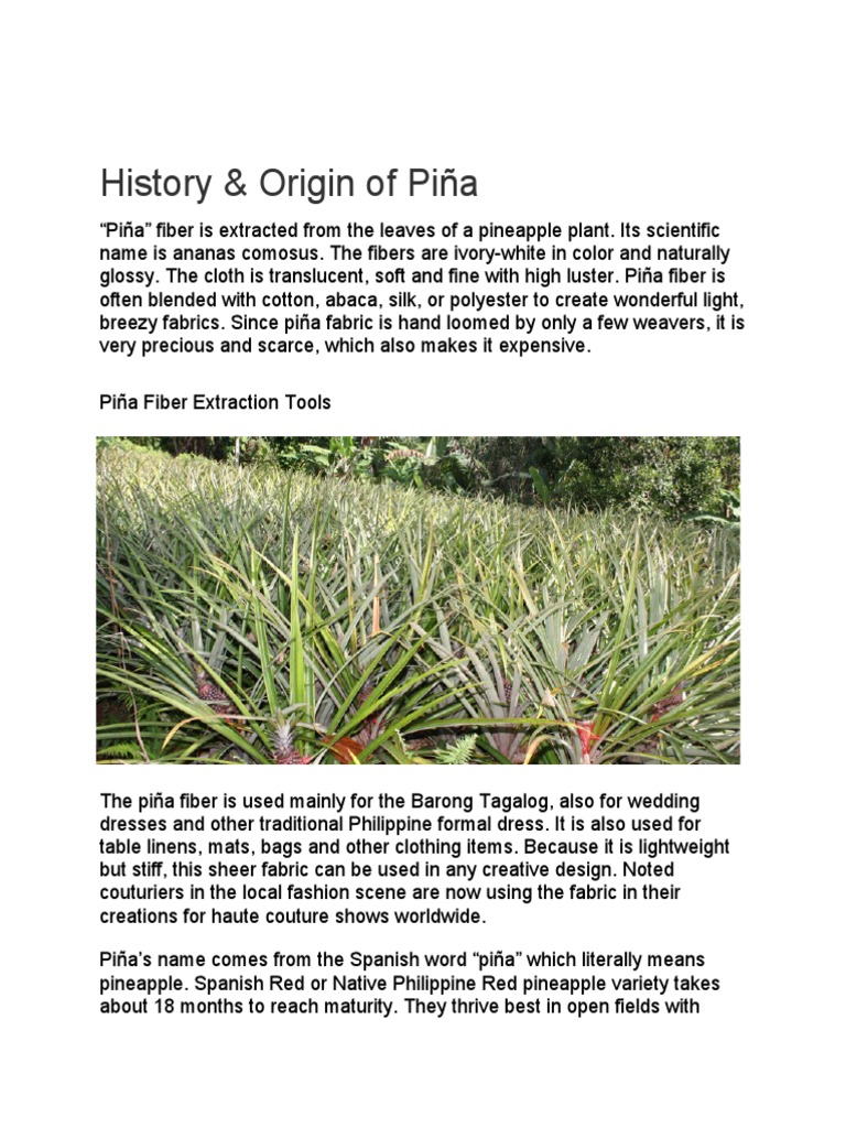 History and Origin of Piña | PDF | Textiles | Weaving