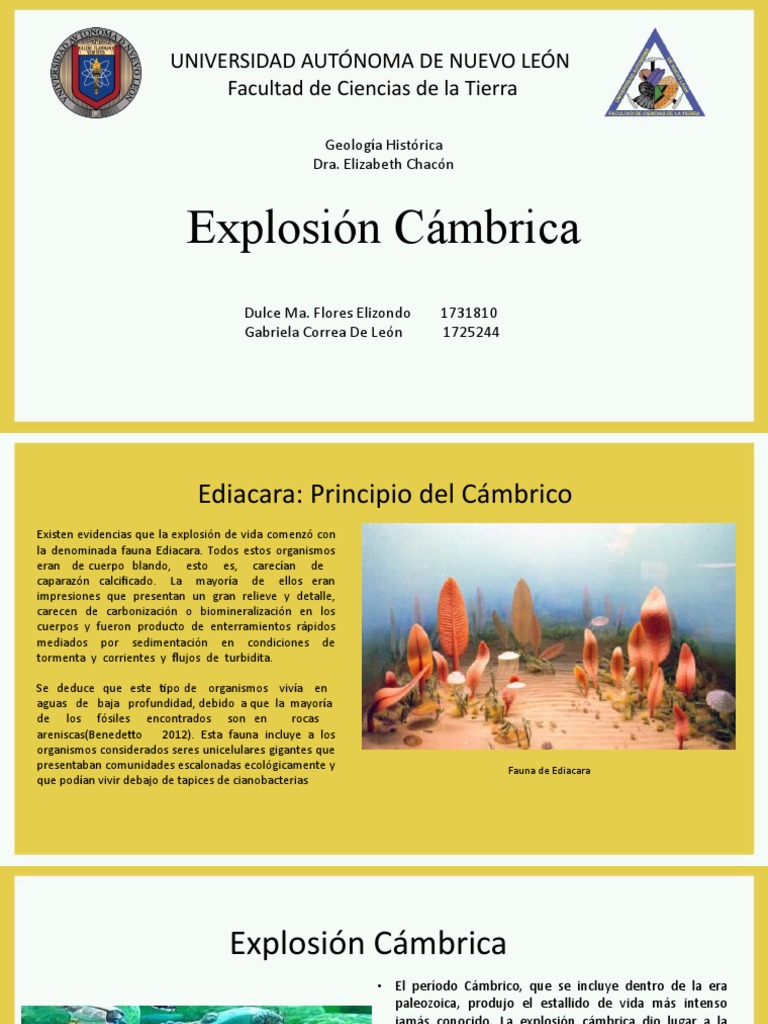 Explosion Cambrica Presentacion | PDF | Geología | Naturaleza