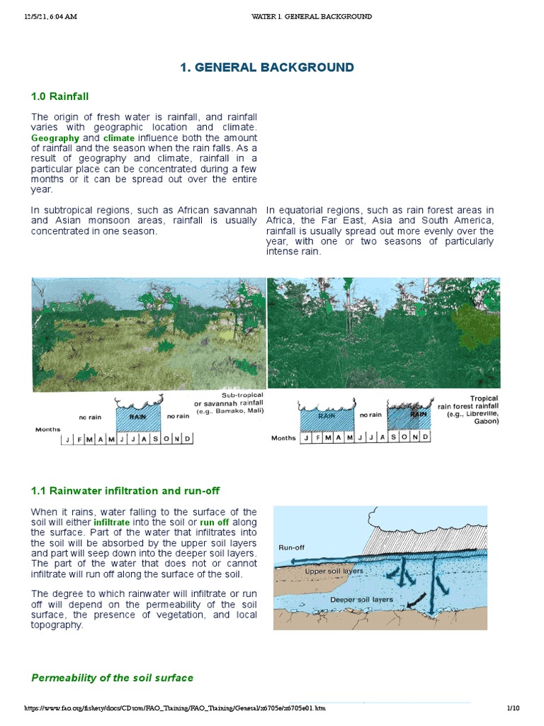 Understanding Rainwater Infiltration | PDF | Stream | Drainage Basin