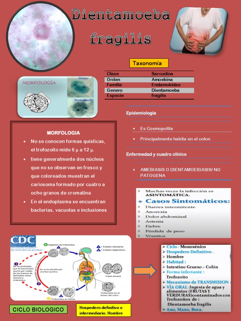 Dientamoeba Fragilis | PDF