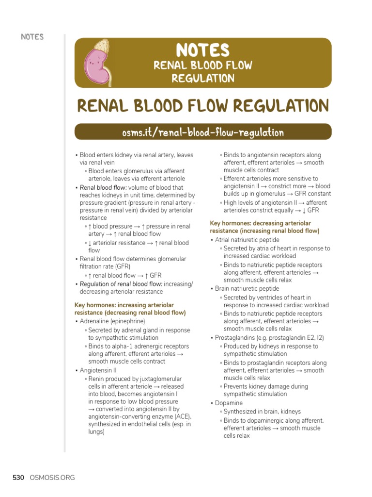 Renal Blood Flow Regulation | PDF | Angiotensin | Kidney