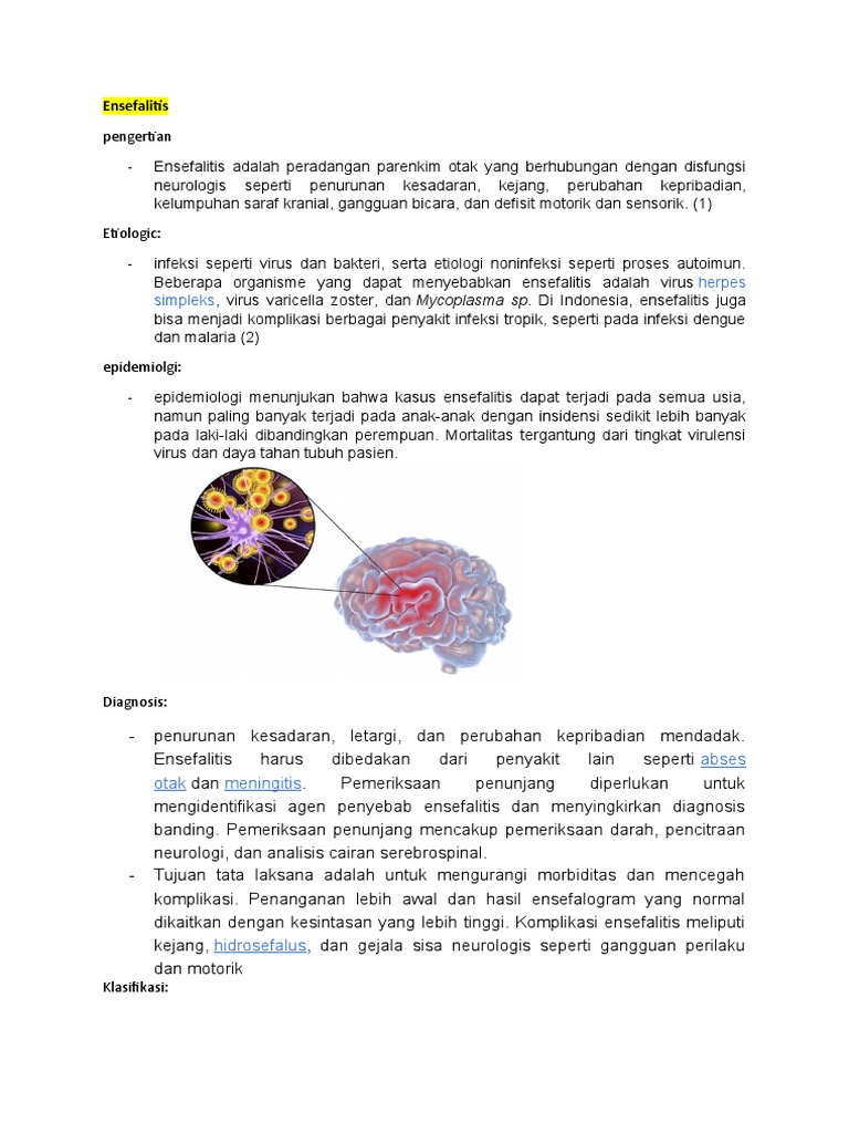 Ensefalitis | PDF