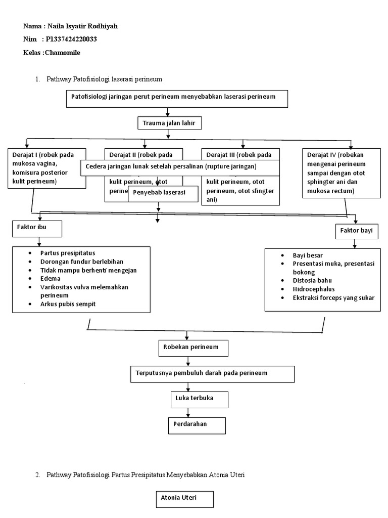 Pathway Atonia Uteri | PDF