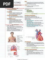 Anatomy and Function of the Heart | PDF | Heart Valve | Atrium (Heart)